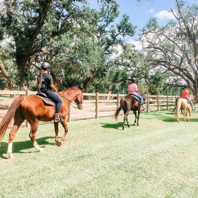 2024/2025 Horse Camps | Almosta Ranch LLC