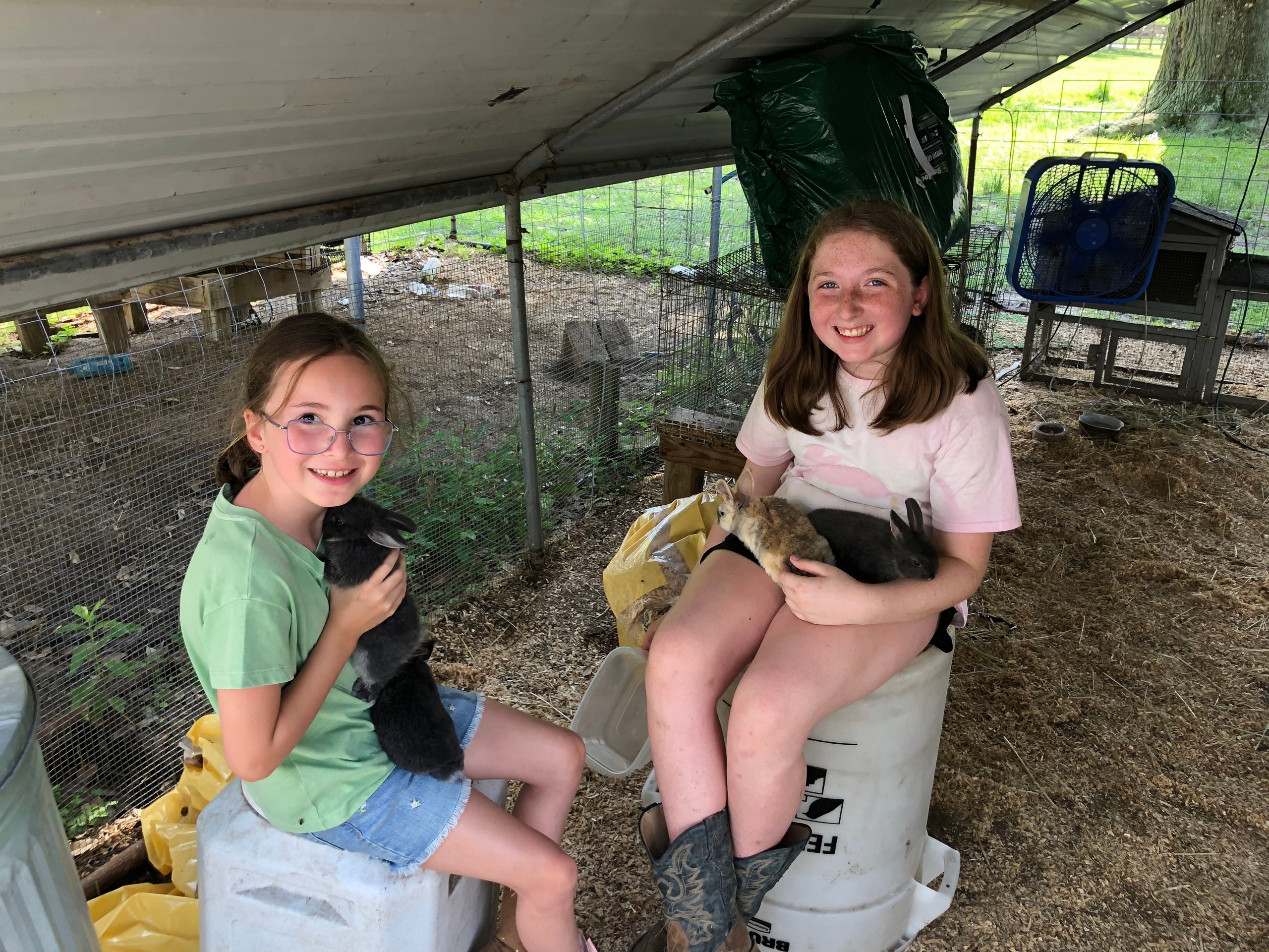 Horse & Farm Camps | Almosta Ranch LLC